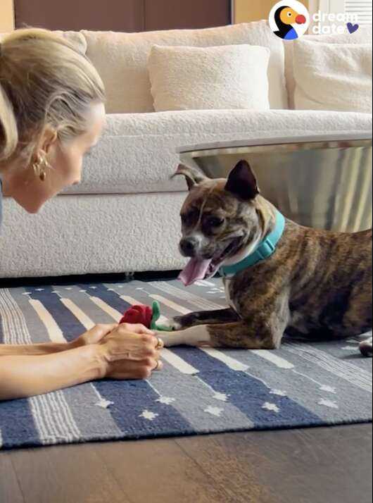 Nikki Glaser Goes On Dodo Dream Date With Dog Who’s Been Returned 3 Times