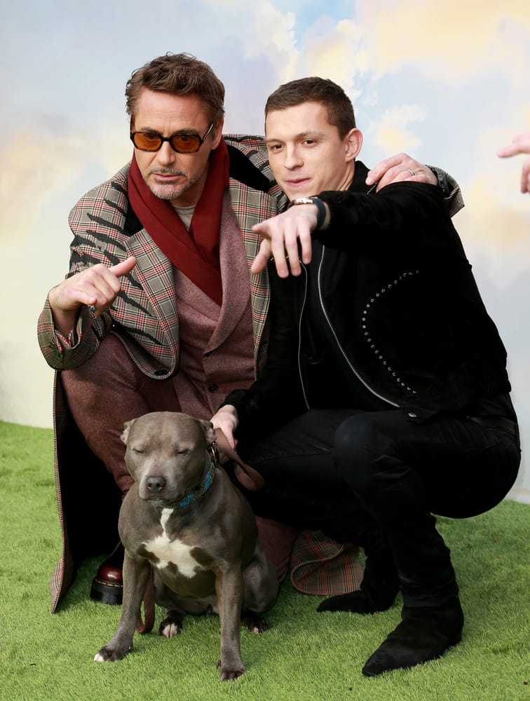 Tom Holland announces passing of his beloved dog Tessa: "Missing my lady"