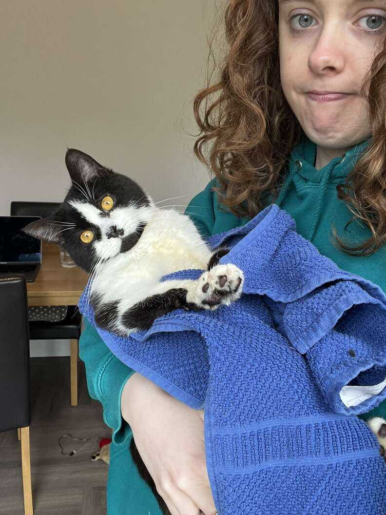Here's How A Cat Named Reginald Became A 'Crime Lord'